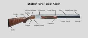 How to Load a Shotgun Safely [Explained] - Arms Directory