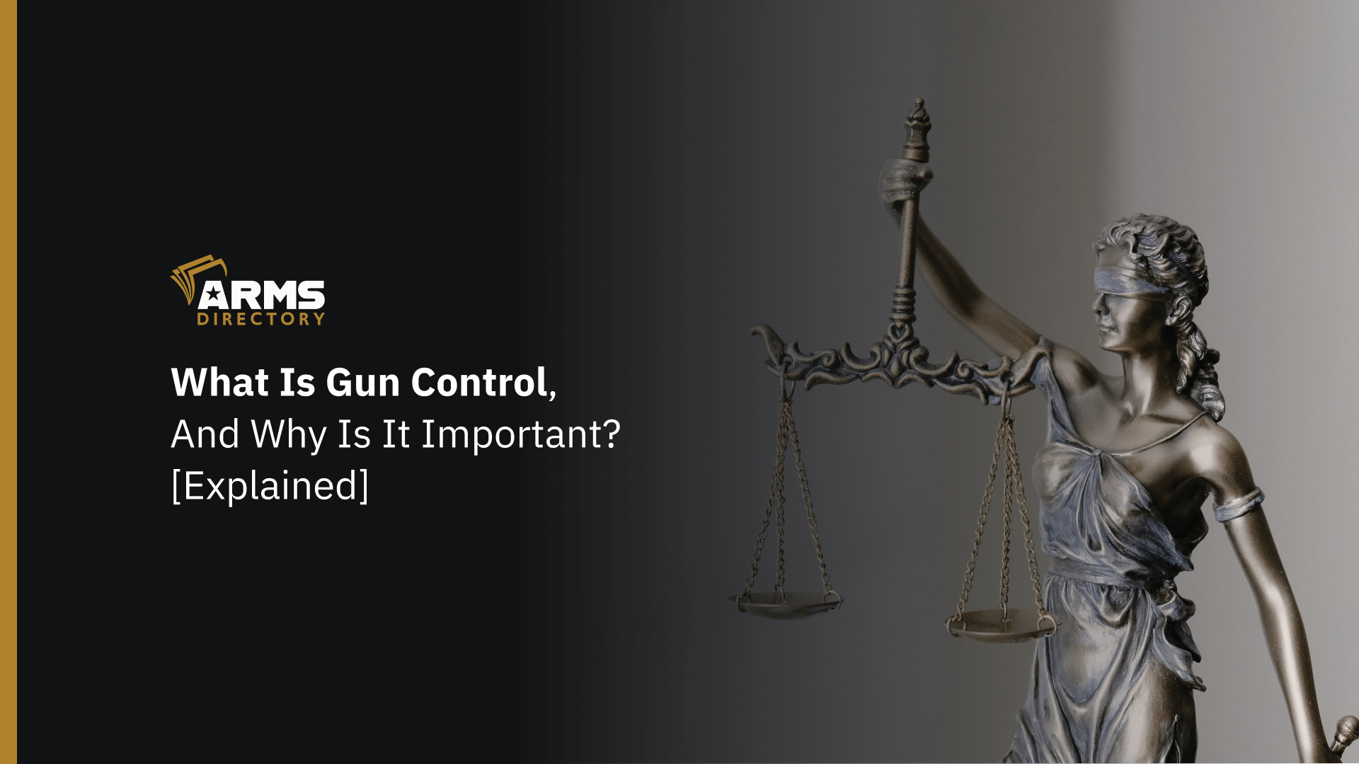 What Is Gun Control And Why Is It Important Explained Arms Directory what-is-gun-control-and-why-is-it-important-explained-arms-directory
