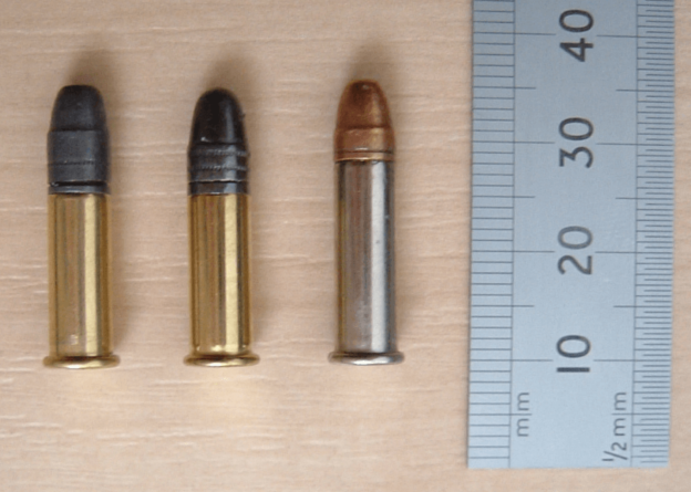 Small But Mighty: The Big Value of .22 Long Rifle - Arms Directory