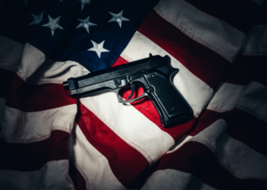 Which Are the Best States for Gun Owners - Arms Directory
